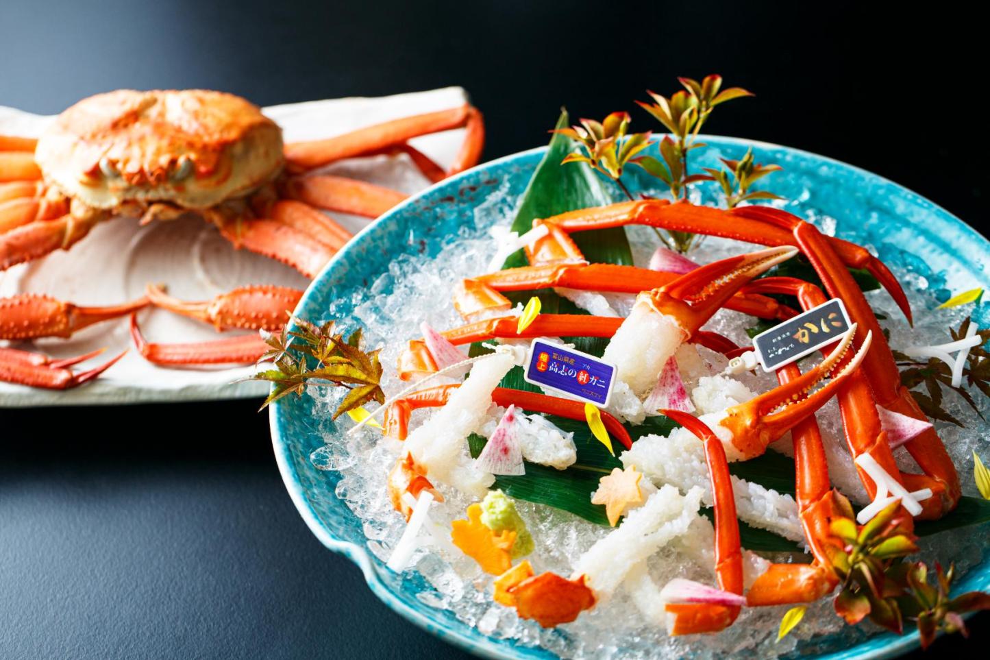 The Official Tourism Website of Toyama "Visit Toyama"