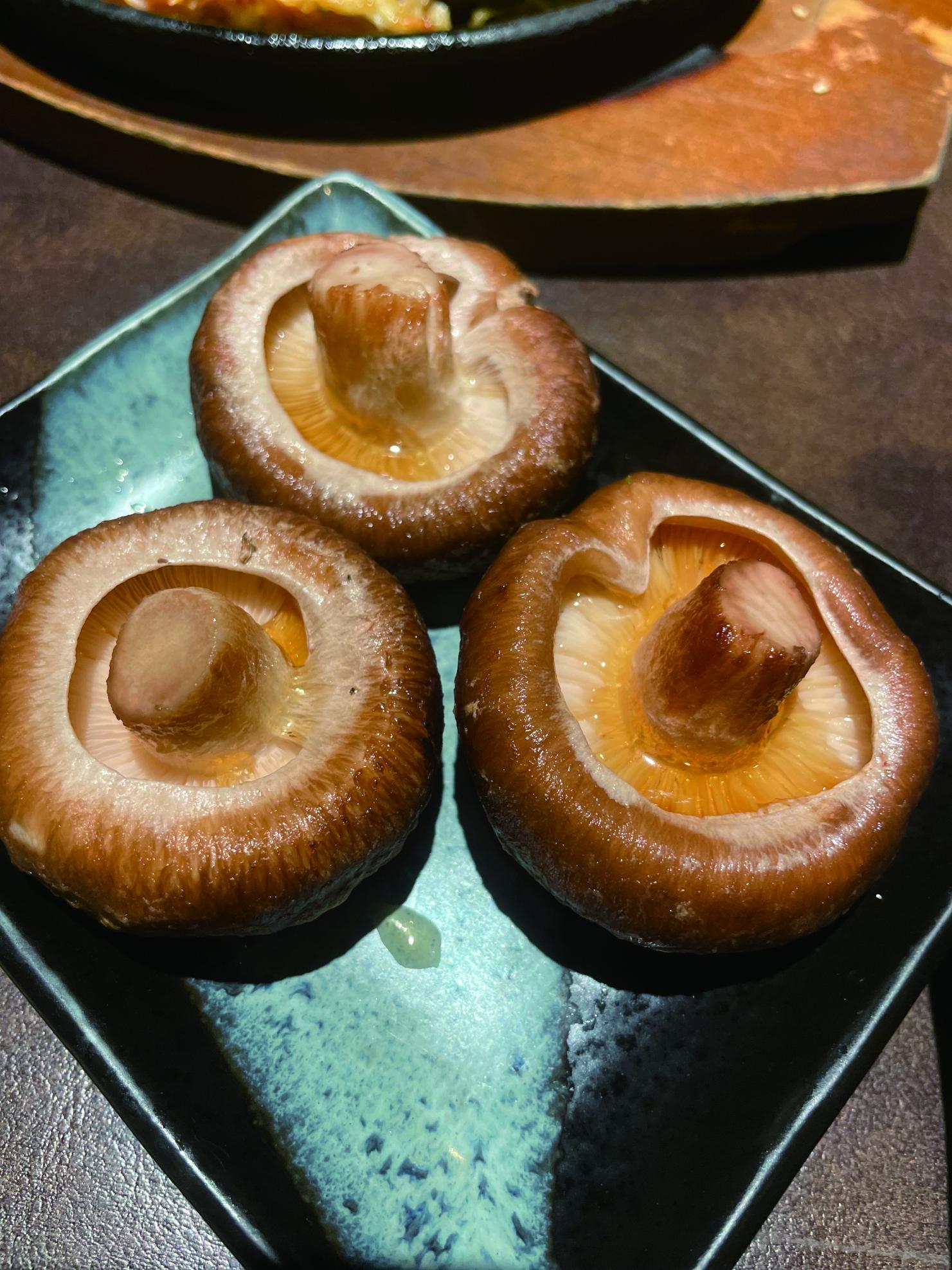 薪火を使ったイタリアン＆カフェ「dadada_（ダダダ）」がオープン！富山の外食に革命を起こすクリエイター集団 | ふぉとやまライター ...