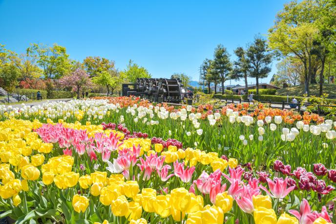 Must-see sight in four seasons | Stories | The Official Tourism Website ...