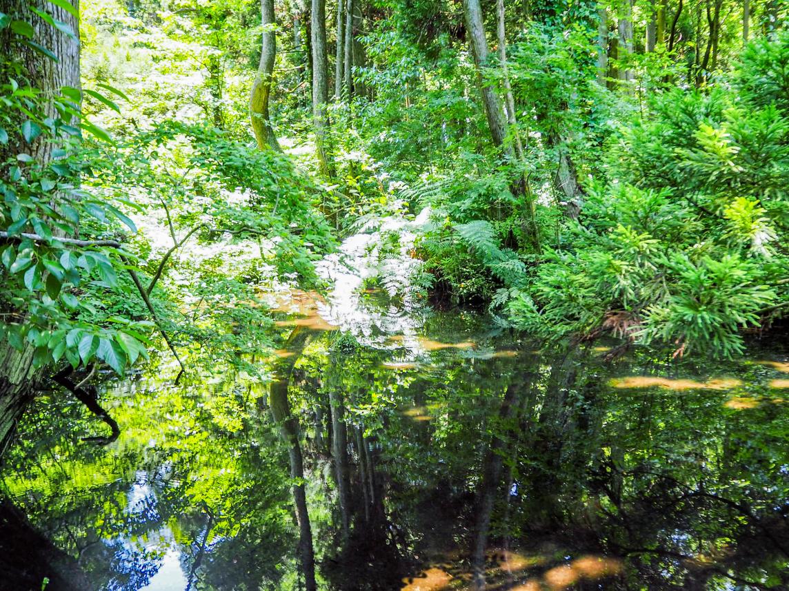 Here are some of the top spots in Toyama with spectacular views of ...