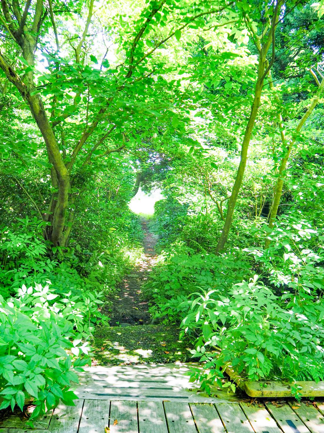 Here are some of the top spots in Toyama with spectacular views of ...