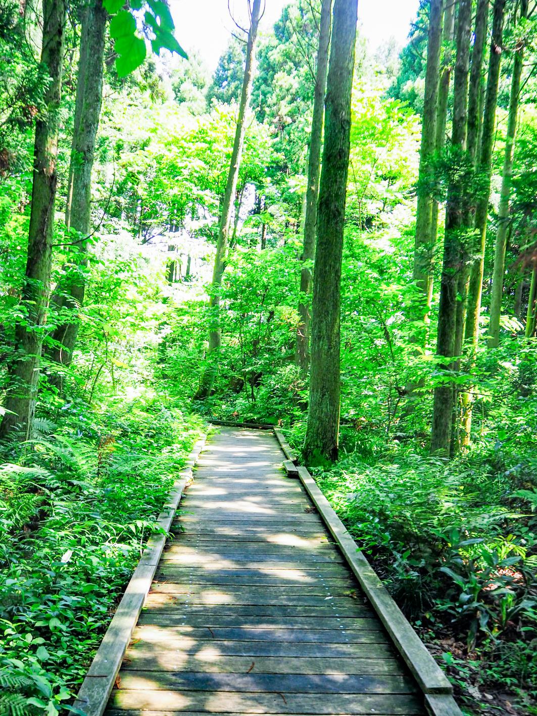 Here are some of the top spots in Toyama with spectacular views of ...