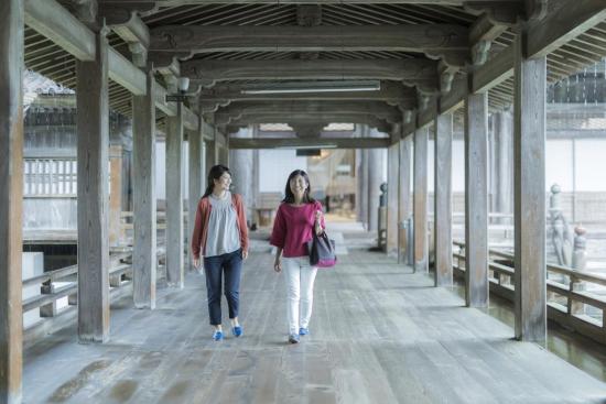 Walk Along the Historic Zuisenji Temple and Yokamachi Dori (Inami ...