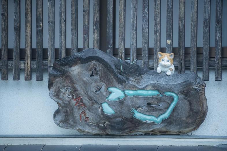 Walk Along the Historic Zuisenji Temple and Yokamachi Dori (Inami ...