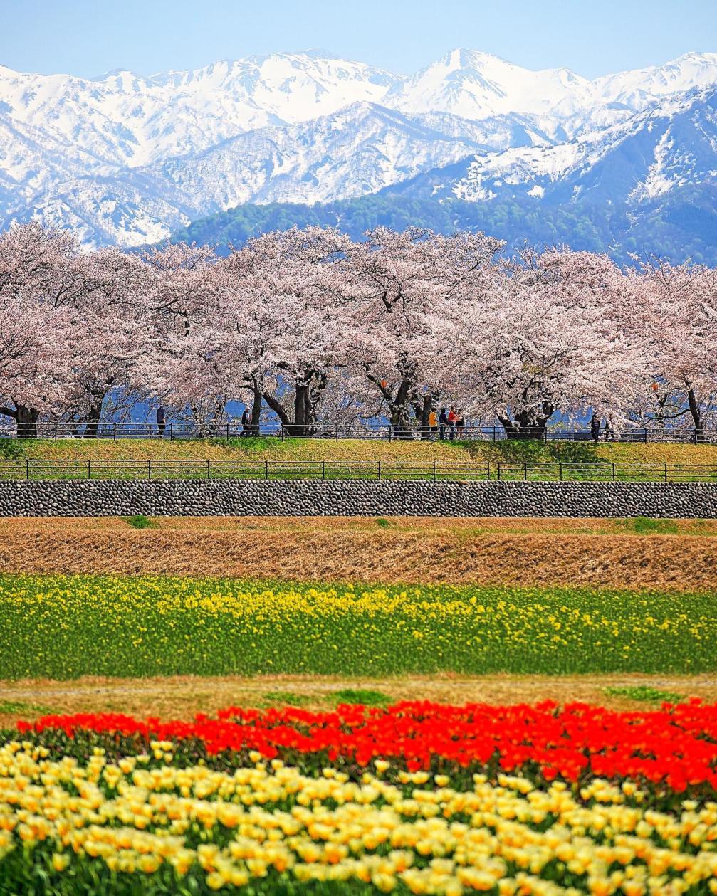 The ultimate bucket list location! Toyama's spectacular scenery in all ...