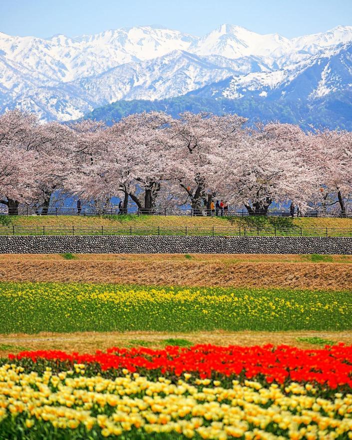 The ultimate bucket list location! Toyama's spectacular scenery in all ...
