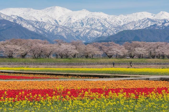 The ultimate bucket list location! Toyama's spectacular scenery in all ...