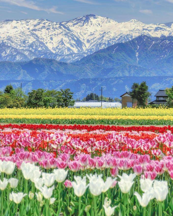 The ultimate bucket list location! Toyama's spectacular scenery in all ...