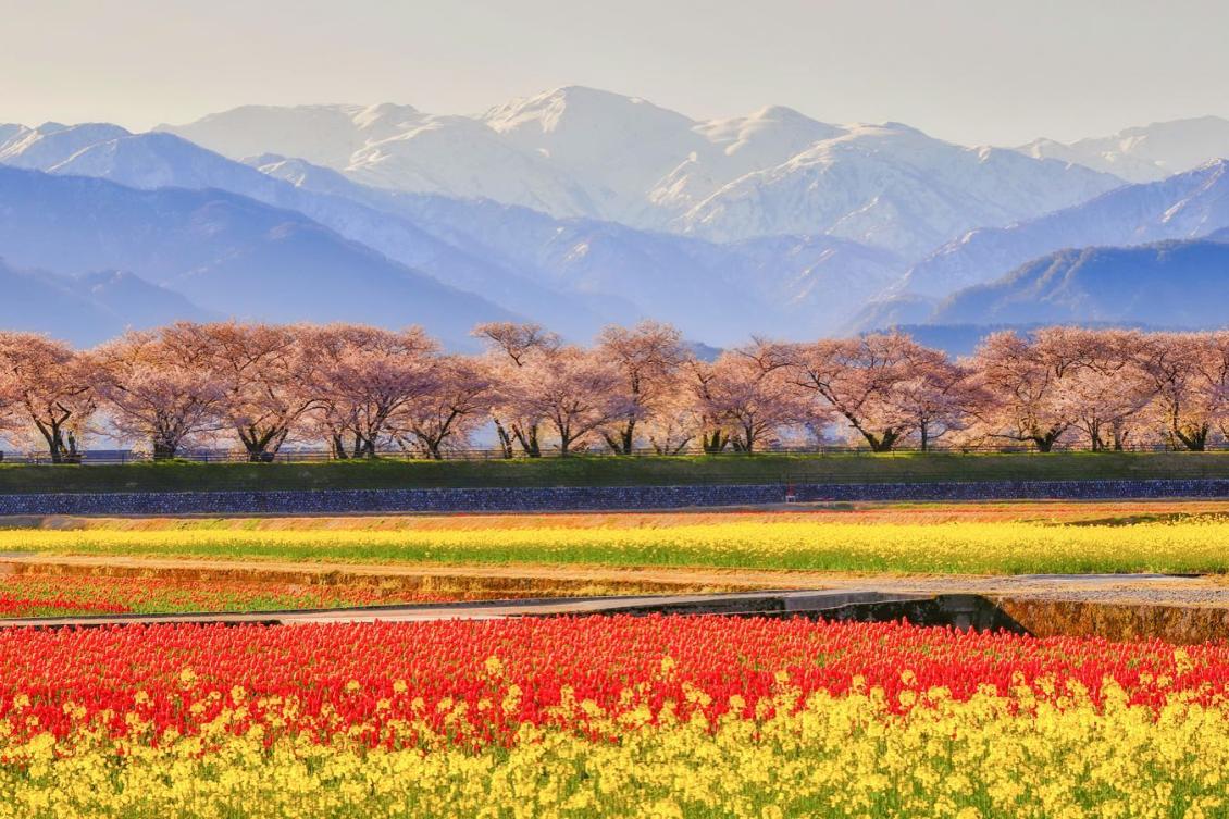 The ultimate bucket list location! Toyama's spectacular scenery in all ...