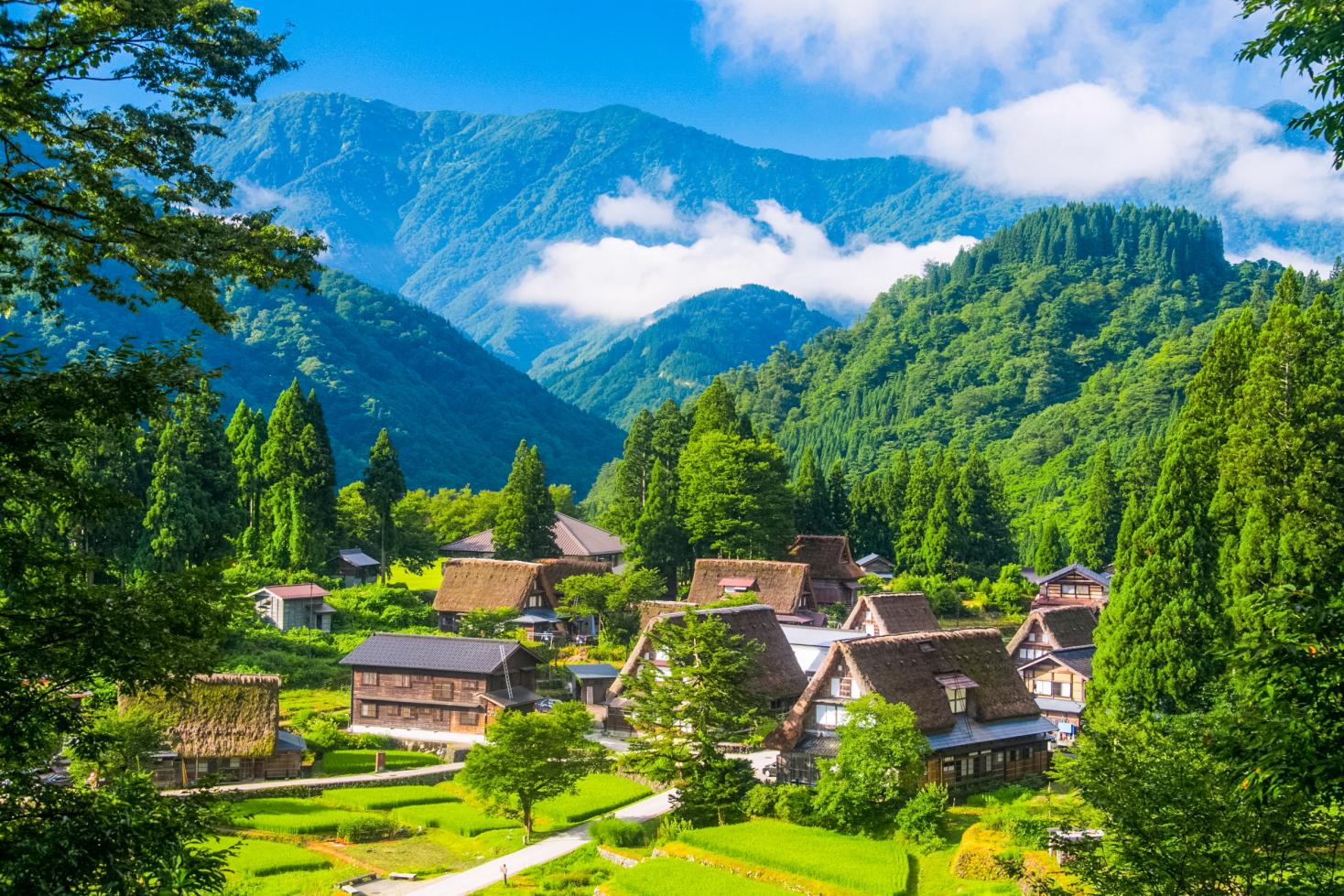 "World Heritage Bus," the Tourist Bus That Tours World Heritage Sites ...