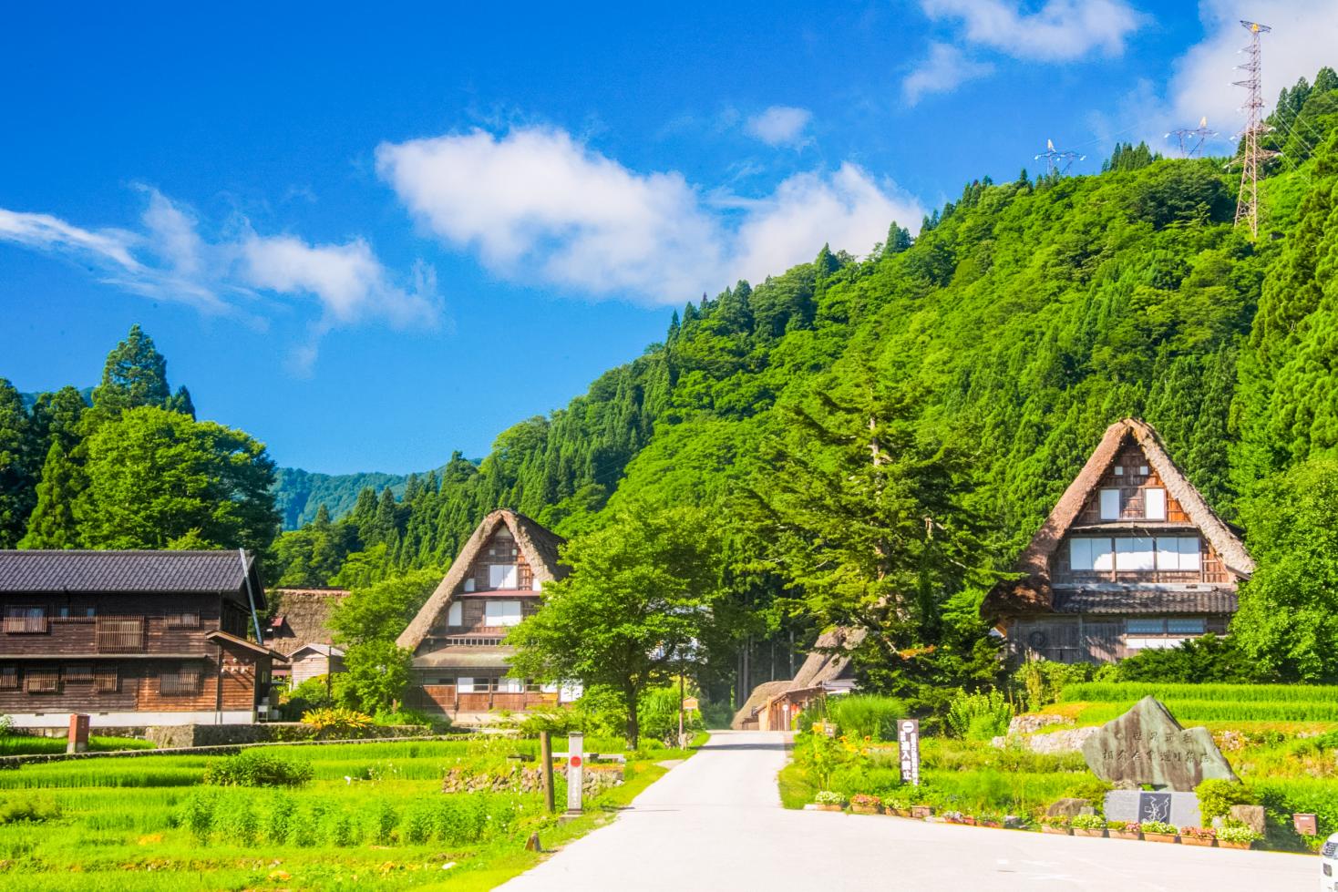 "World Heritage Bus," the Tourist Bus That Tours World Heritage Sites ...