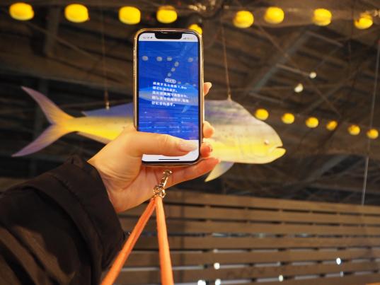 A One-day Walking Tour of Himi | Stories | The Official Tourism Website ...