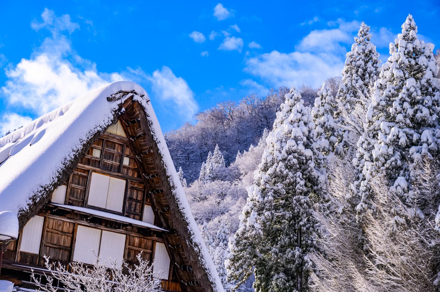 Visiting Toyama in Winter | Stories | The Official Tourism Website of ...