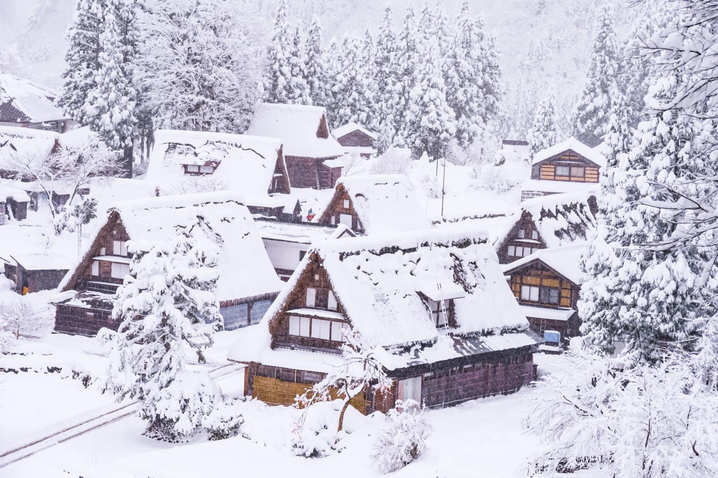 Visiting Toyama in Winter | Stories | The Official Tourism Website of ...