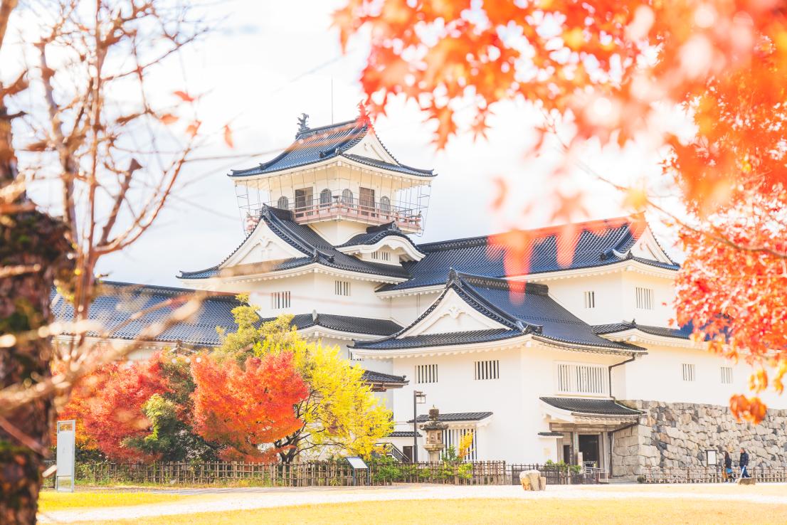Discover Toyama: 4 Top Tourist Spots Accessible from Toyama Station ...