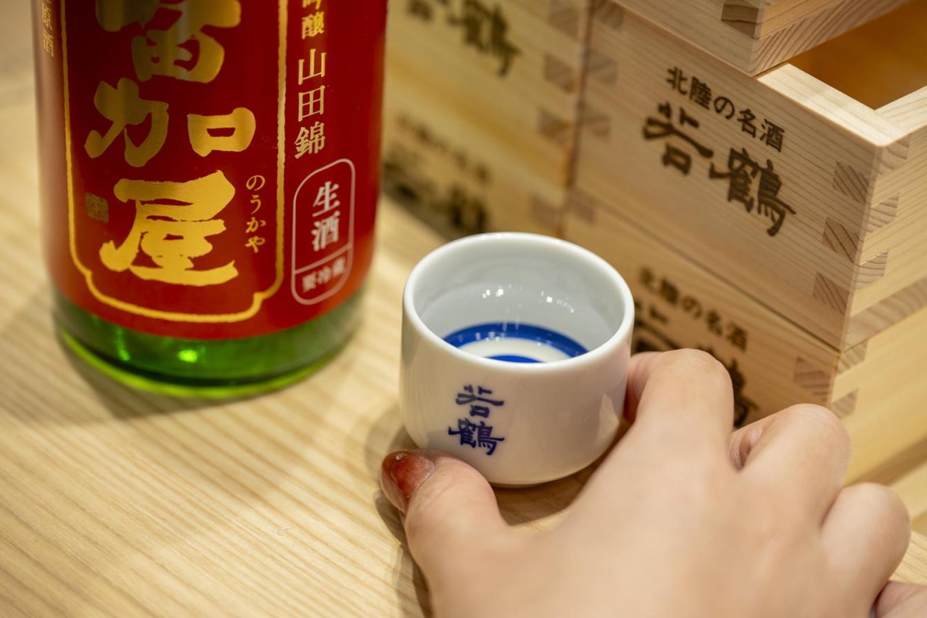 A Tour on the JR Takayama Line Limited Express "Hida": Comparing Local ...