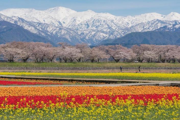 The ultimate bucket list location! Toyama's spectacular scenery in all ...